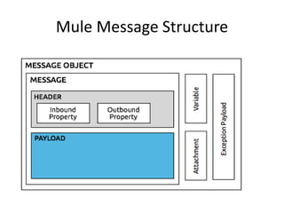 Mule message structure | PPTX