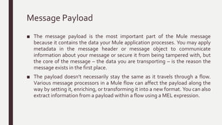 Mule message structure | PPTX