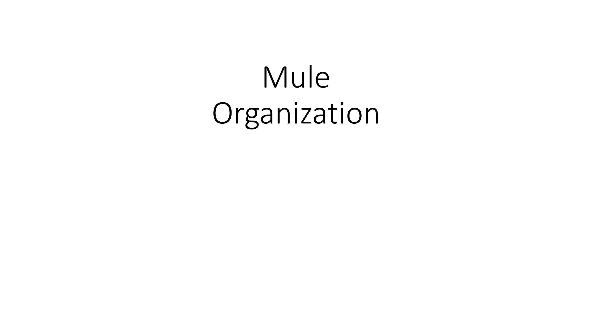 Mule organization | PPTX