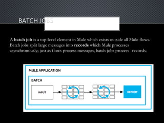 Mule any point studio | PPT