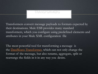 Mule any point studio | PPT