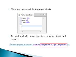 Mule properties | PPTX