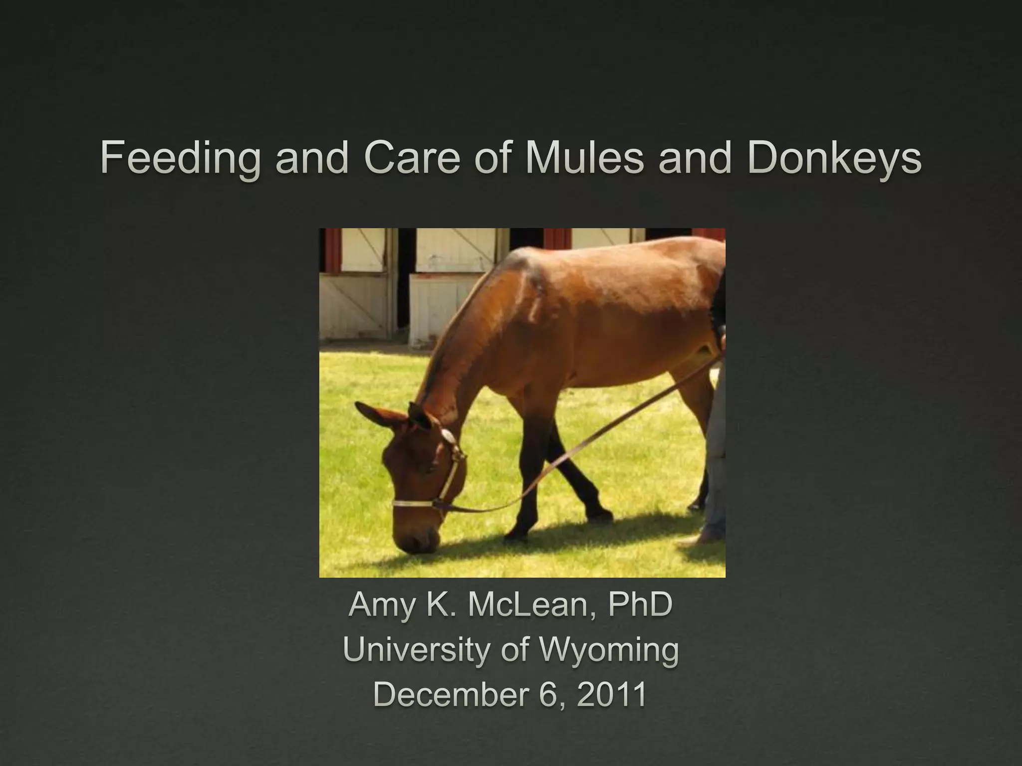 Feeding and Care of Mules and Donkeys | PPTX