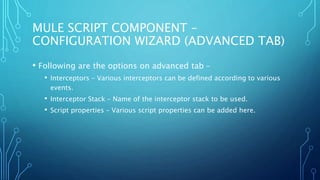 Mule Script Component | PPT