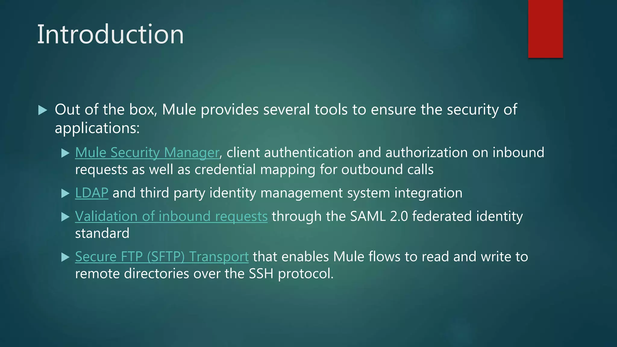 Mule Security | PPTX