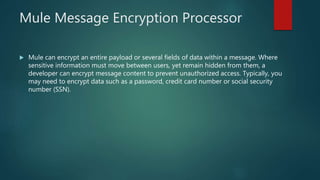 Mule Security | PPTX