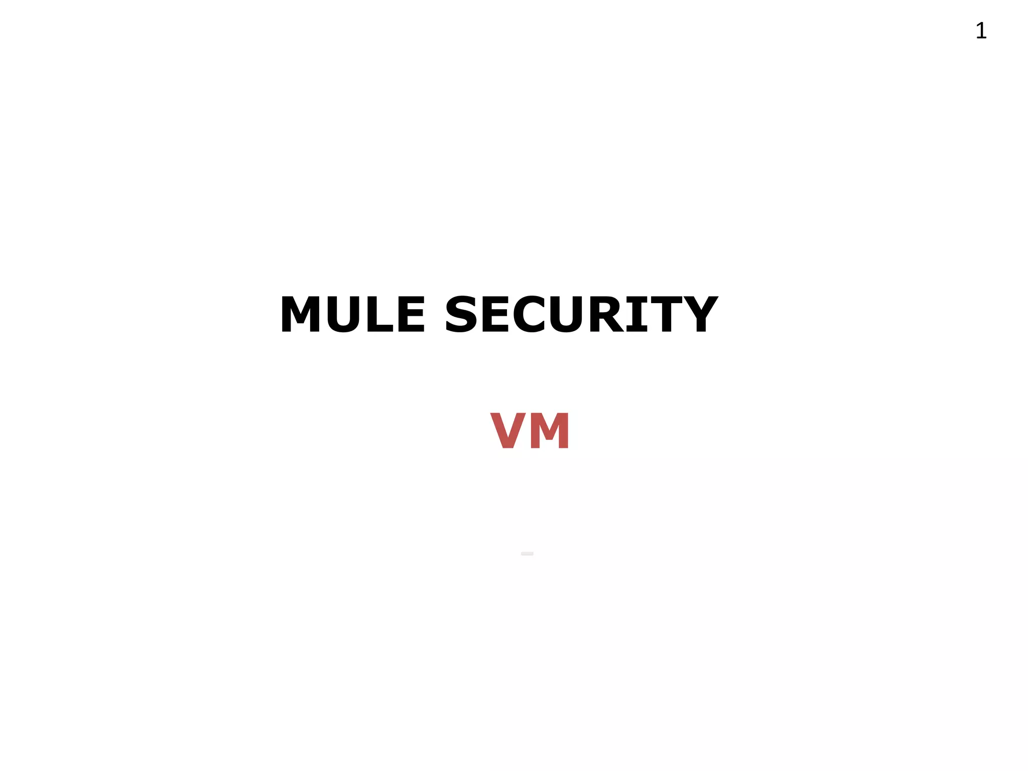 Mule security | PPTX
