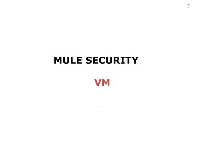 Mule security | PPTX