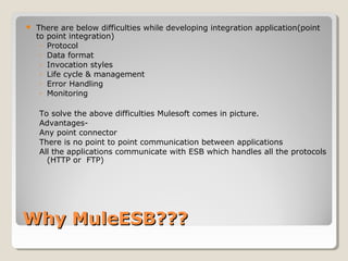 Mulesoft at a glance | PPT