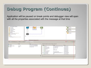 Mule soft debugprogram | PPT