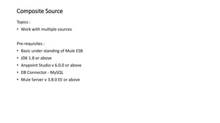 MuleSoft ESB Composite Source | PPTX | Internet | Computing