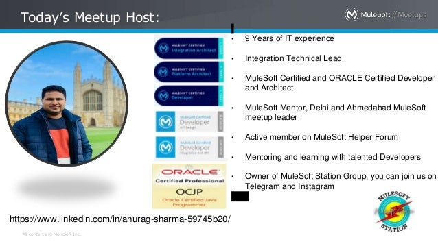 MuleSoft_Meetup_Exchange-Nexus-Publish_Asserts.pptx