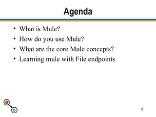 Mulesoft ppt | PPT