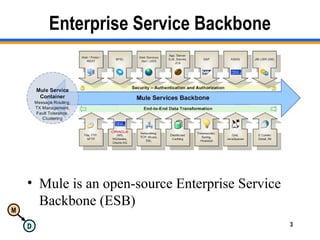 Mulesoft ppt | PPT