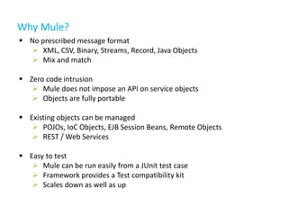 Mule soft ppt | PPTX