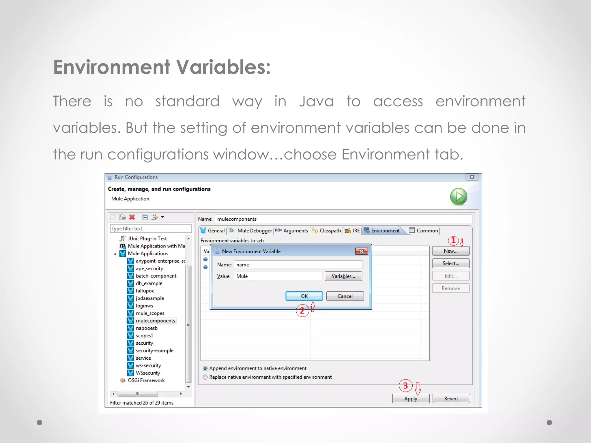 Mule system properties | PPT