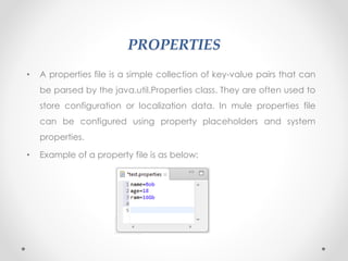 Mule system properties | PPT