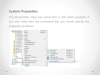 Mule system properties | PPT