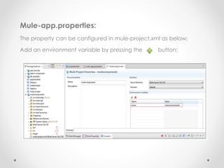 Mule system properties | PPT