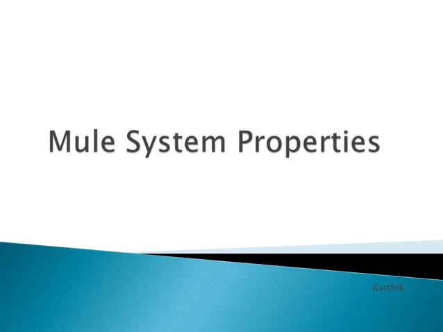 Mule system properties | PPTX | Computing | Technology & Computing