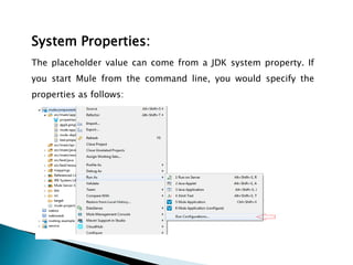 Mule system properties | PPTX | Computing | Technology & Computing
