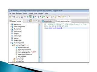 Mule system properties | PPTX | Computing | Technology & Computing