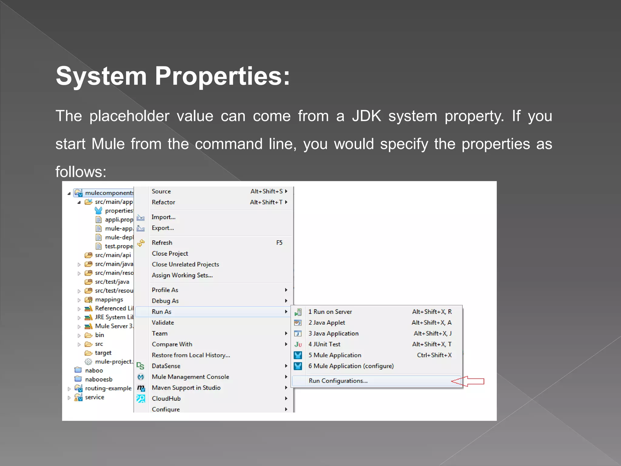 Mule system properties | PPT