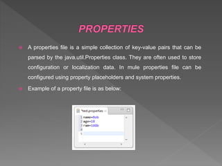 Mule system properties | PPT