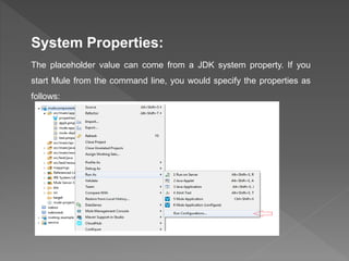 Mule system properties | PPT