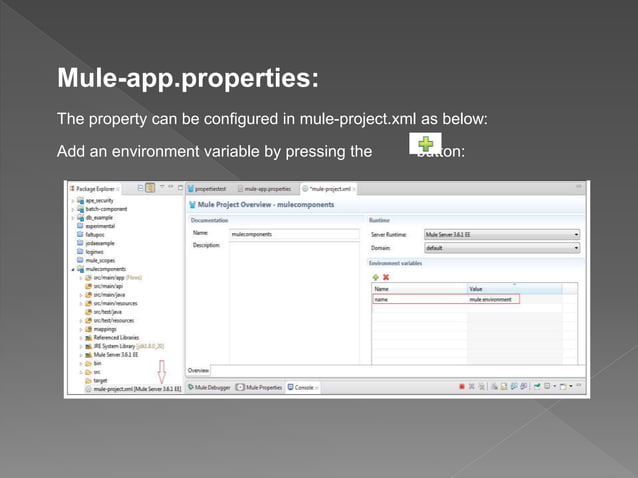 Mule system properties | PPT