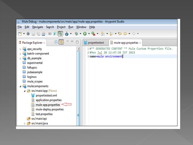 Mule system properties | PPT