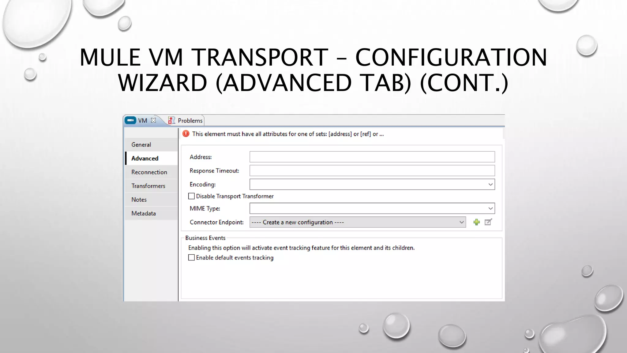 Mule VM Transport | PPTX | Computer Networking | Computing