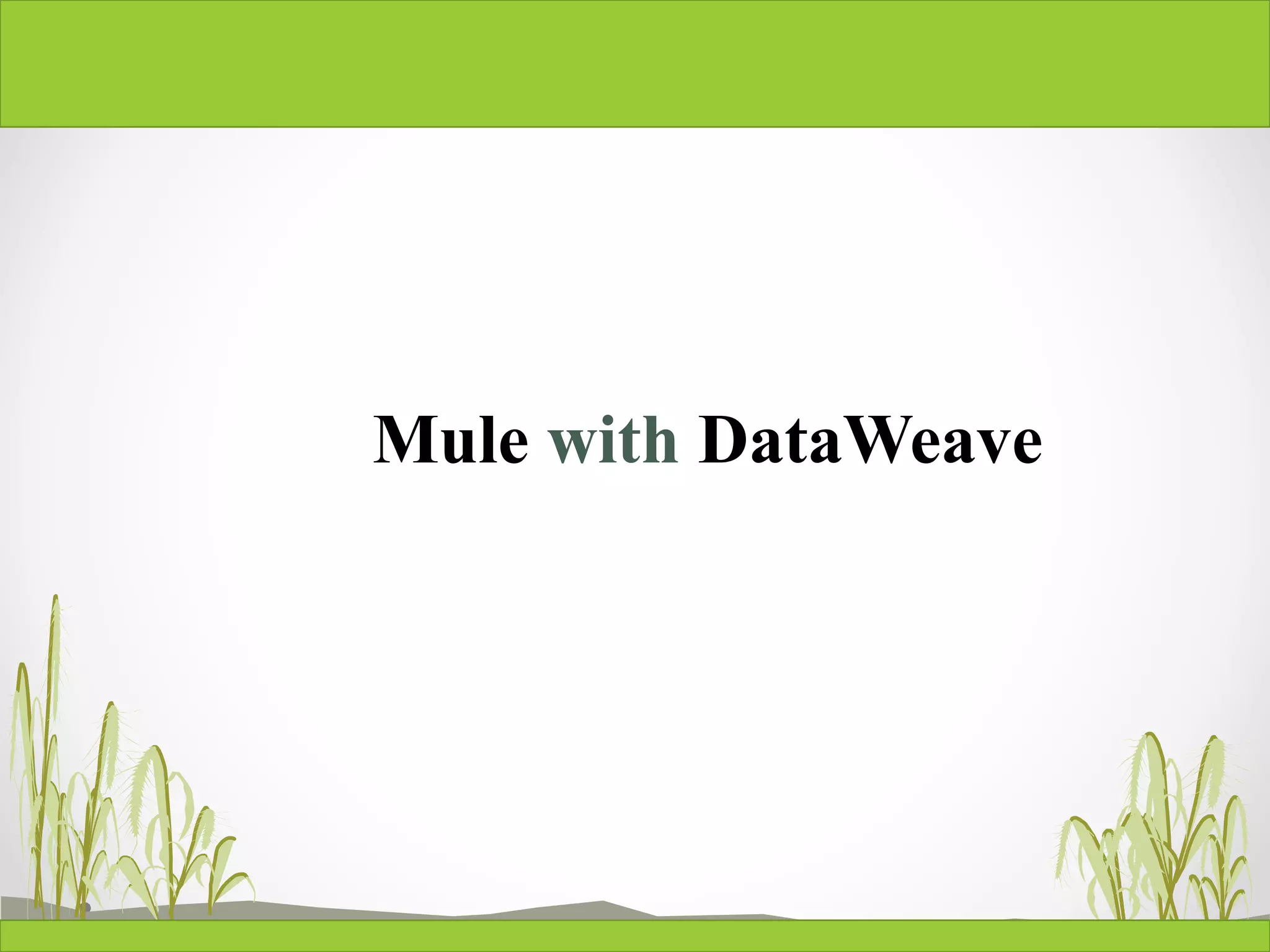 Mule with data weave | PPT