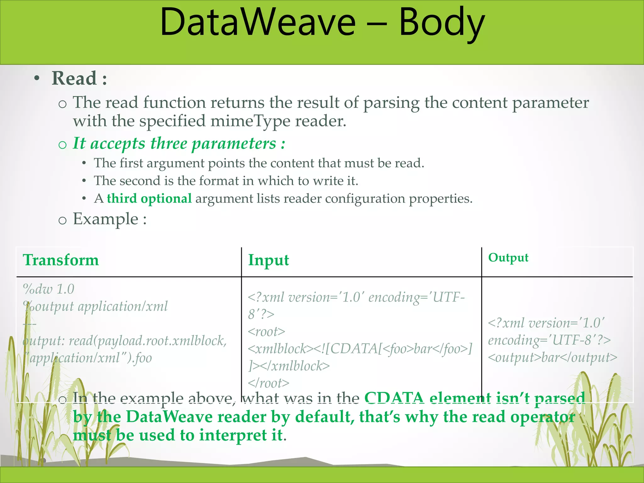 Mule with data weave | PPT