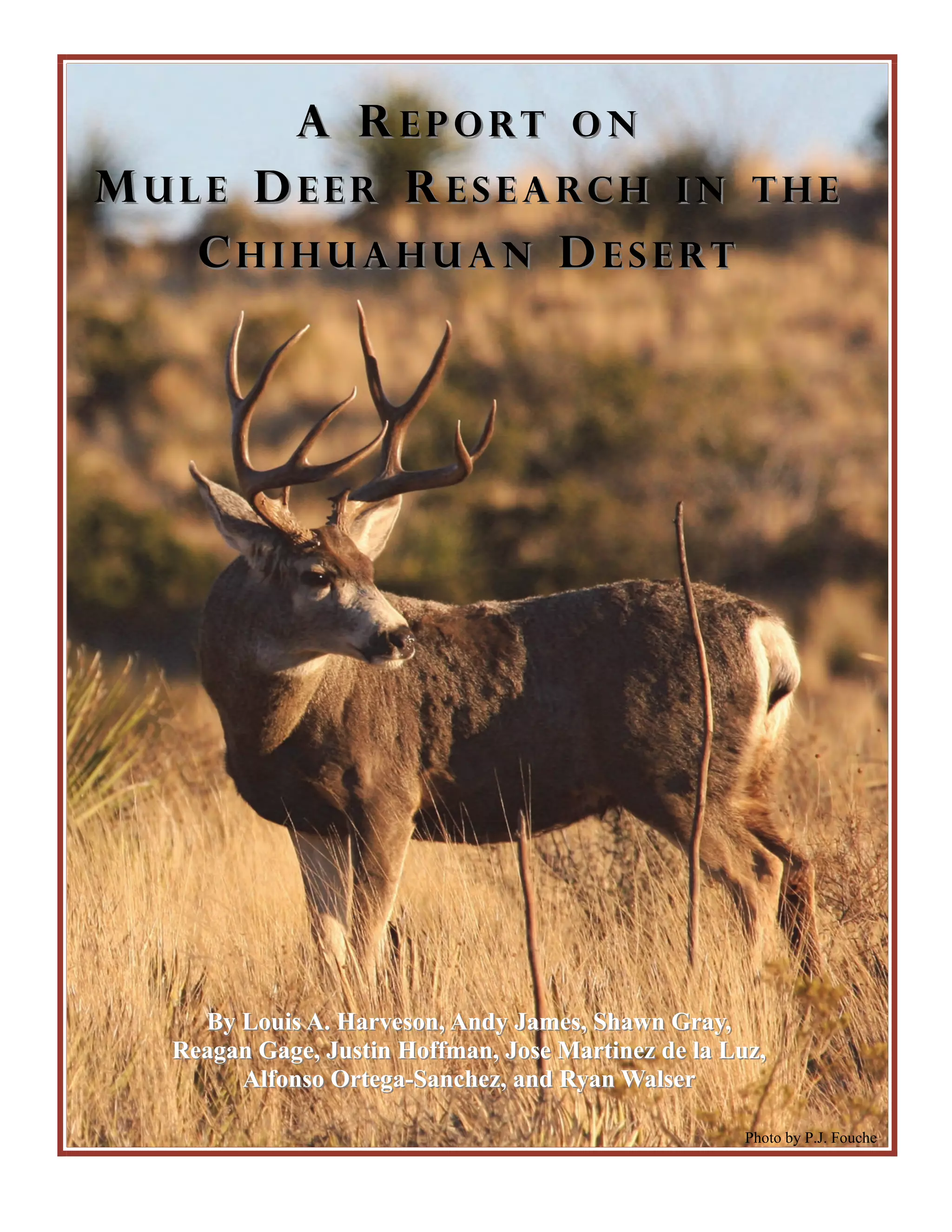 Report on Mule Deer Research in the Chihuahuan Desert | PDF