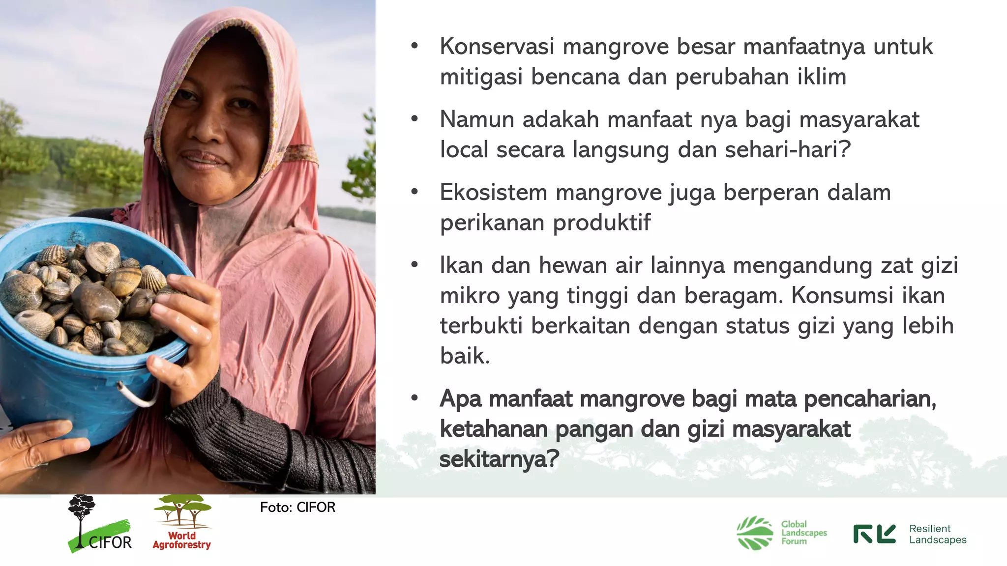 Manfaat Konservasi dan Restorasi Mangrove terhadap mata Pencaharian ...