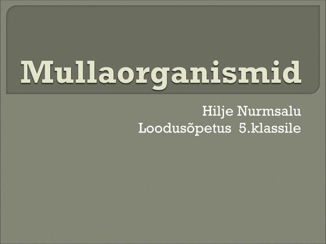 Mullaorganismid | PPT