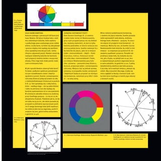 Olaf Müller, "Goethe i zasady świata barw", Przestrzenie światła ...