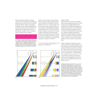 Olaf Müller, "Goethe i zasady świata barw", Przestrzenie światła ...