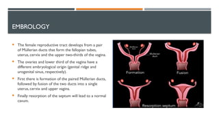 Mullerian duct anomalies.pptx ho official | PPTX