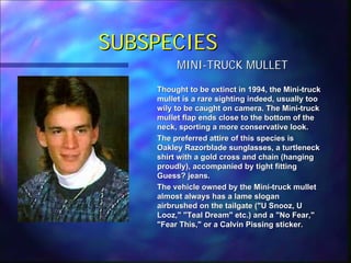 Mullet Handbook | PDF