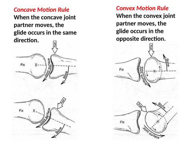 Mulligan mobilization (MWM) | PDF | Physical Therapy | Wellness