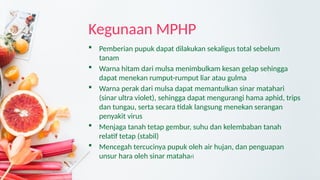 ini materi tentang tanaman pangan yaitu pemberian MULSA.pptx