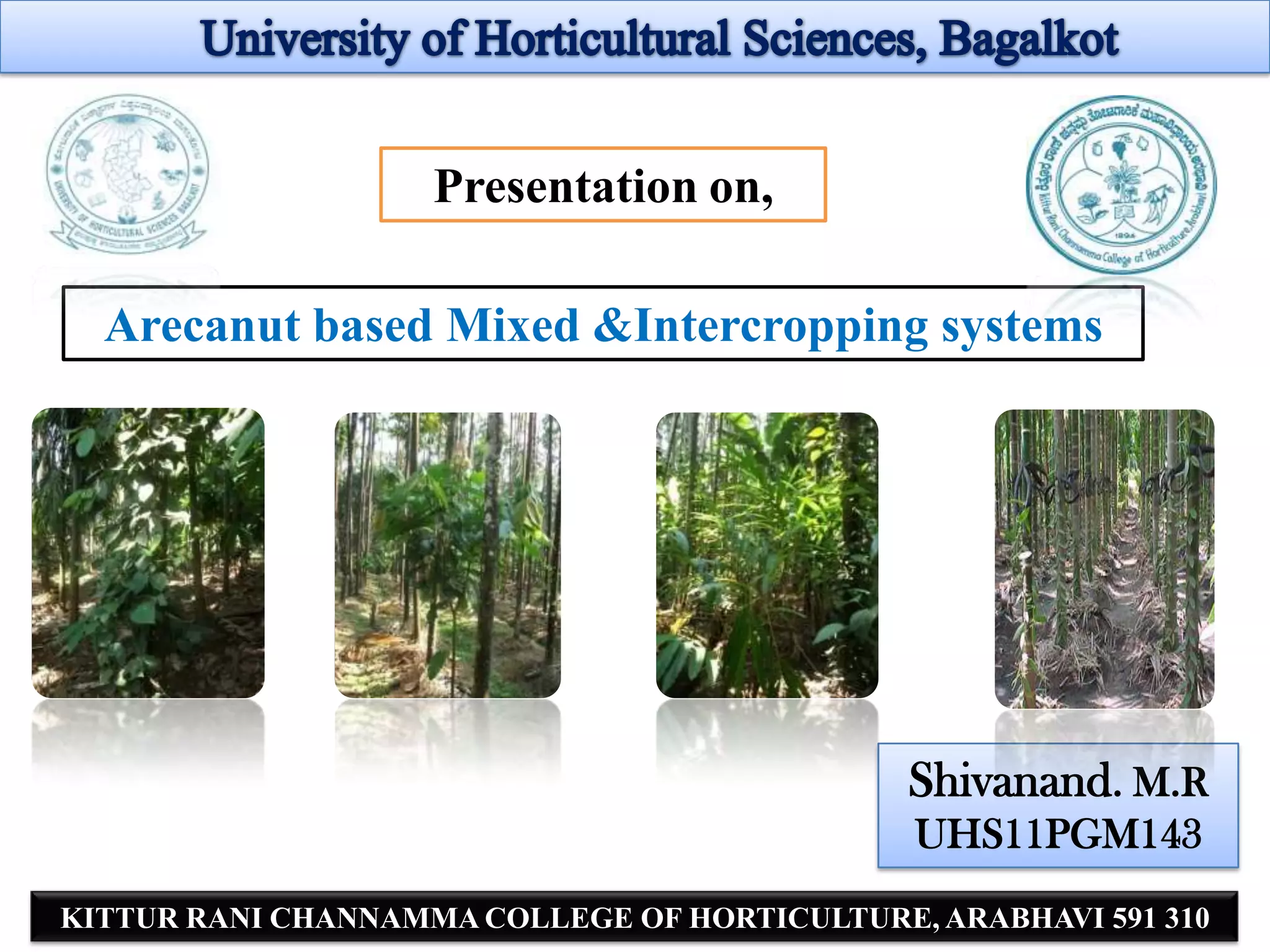 Multiple cropping in Arecanut By- Shivanand M.R | PPTX