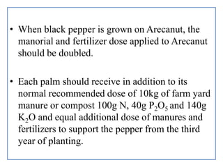 Multiple cropping in Arecanut By- Shivanand M.R | PPTX