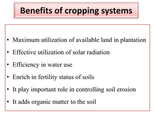Multiple cropping in Arecanut By- Shivanand M.R | PPTX