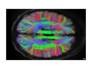 Multi-Cellular Organisms | PPTX
