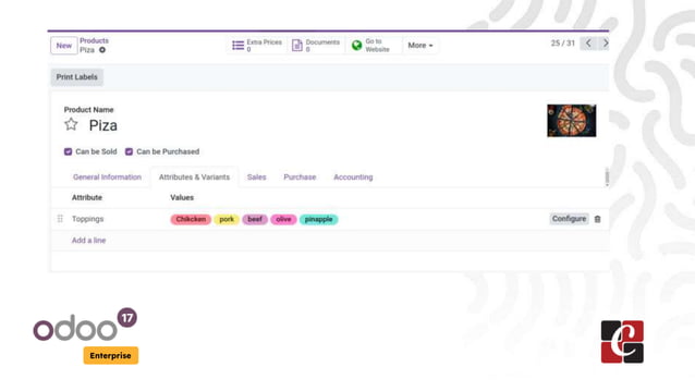 Multi - checkbox Attribute in the Odoo 17 | PPTX