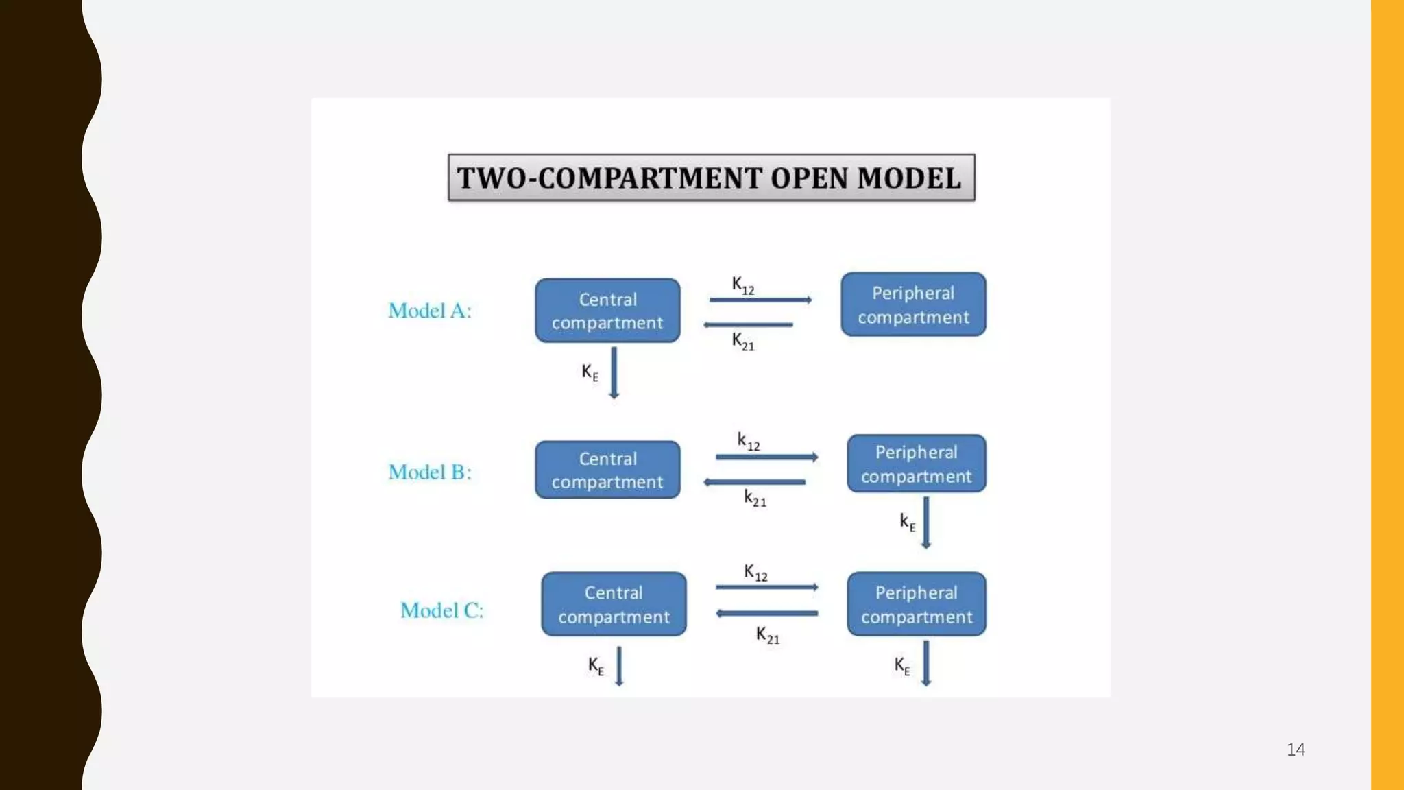 Multi compartment models | PPTX