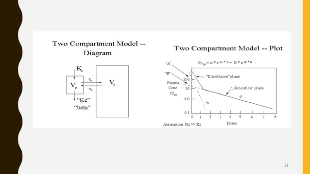 Multi compartment models | PPTX